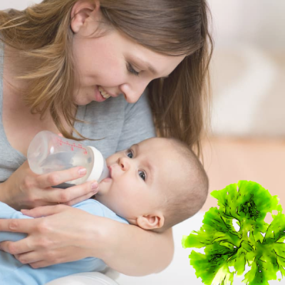 Los beneficios del alga Schizochytrium: una fuente nutritiva y ...